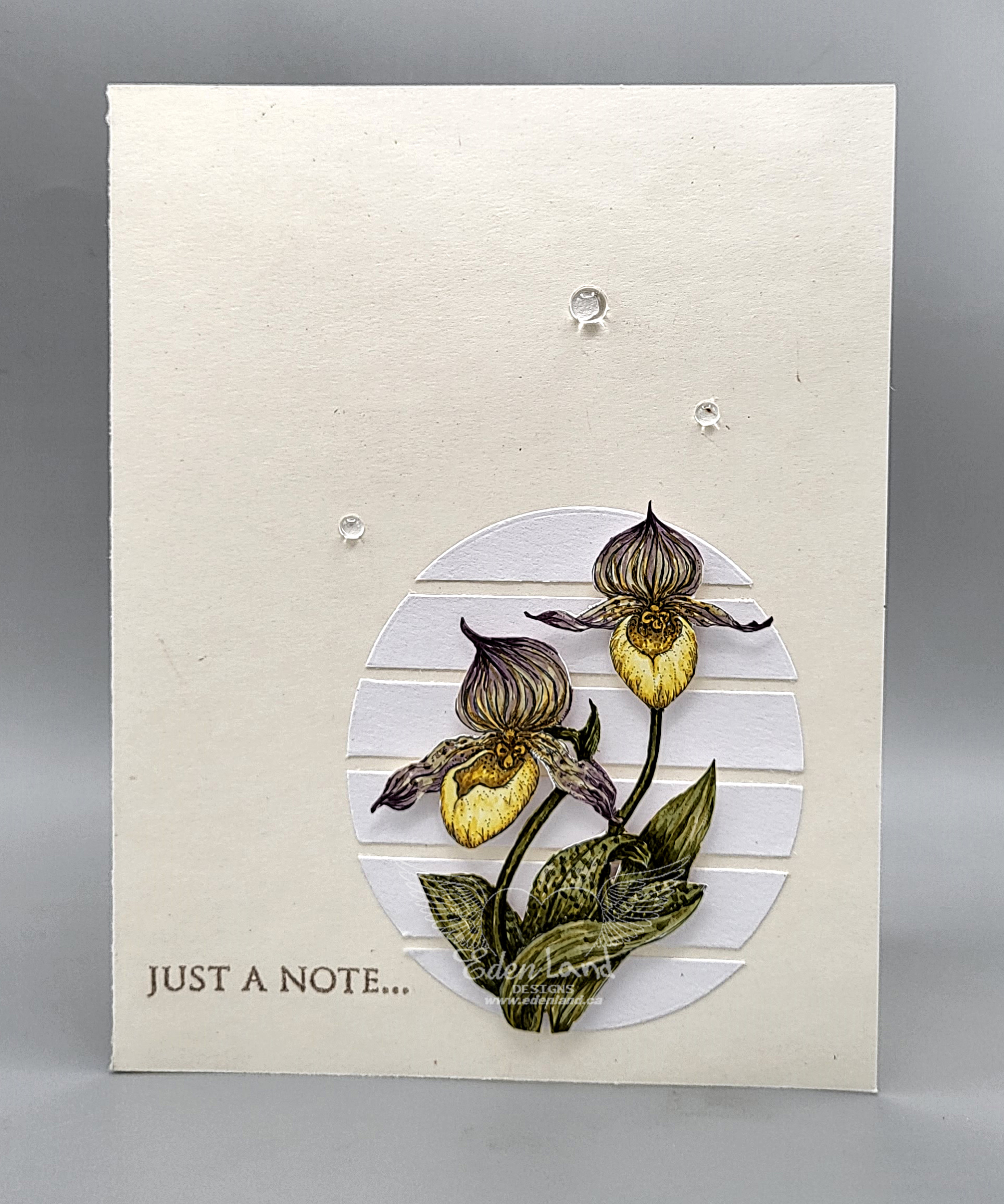 Lady Slippers – Edenland Designs